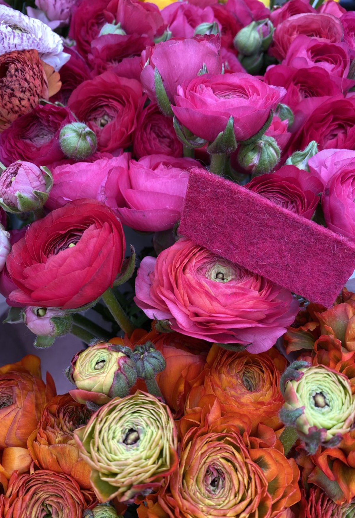 Behind the Design of the Felt Colorwork - FilzFelt