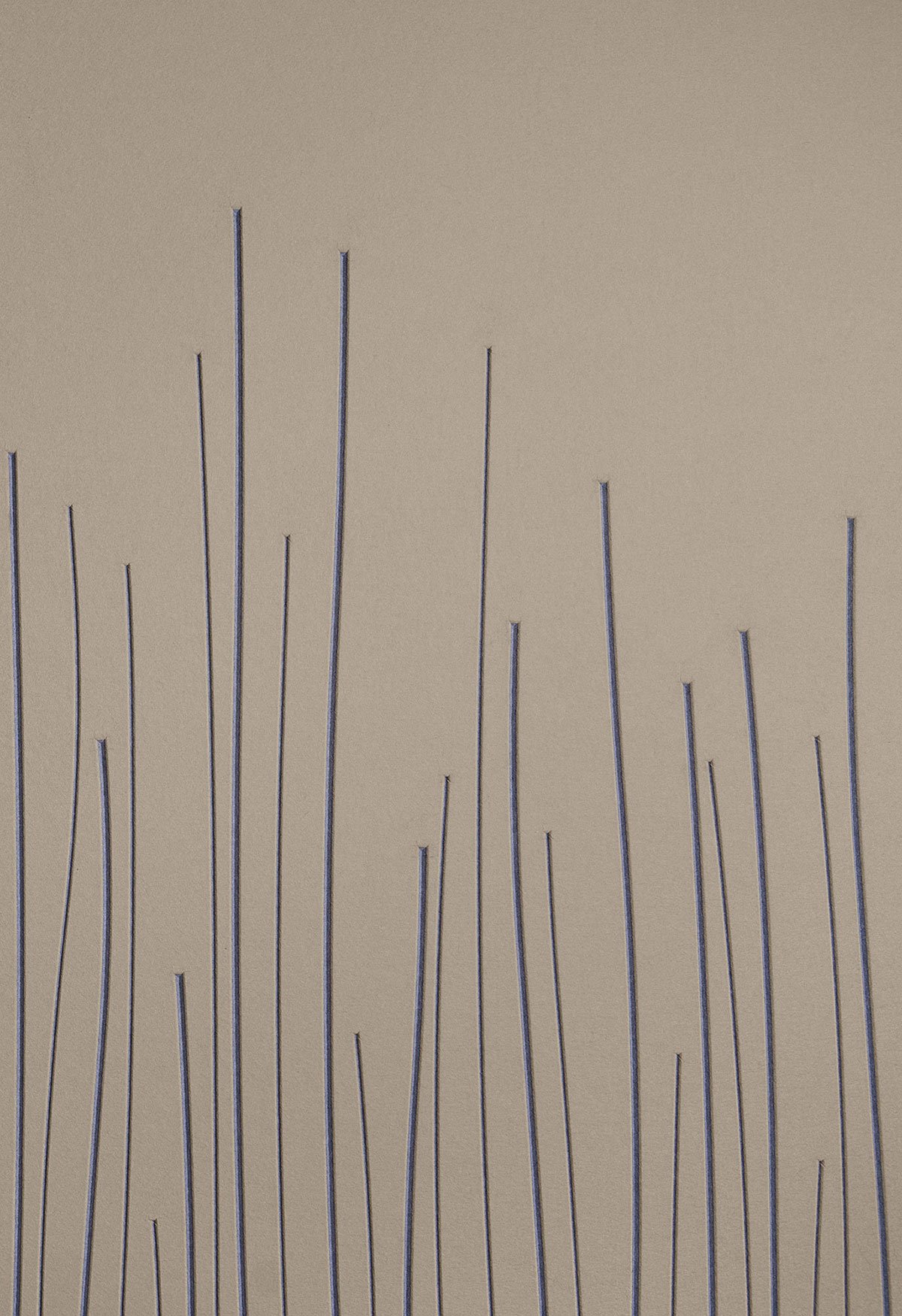 Behind the Design of Grain and Reeds - FilzFelt