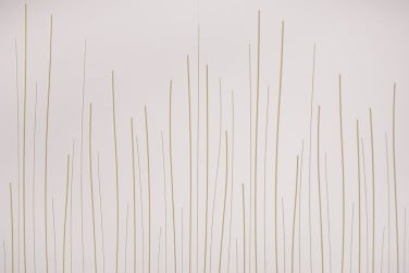 Reeds - Shop - FilzFelt