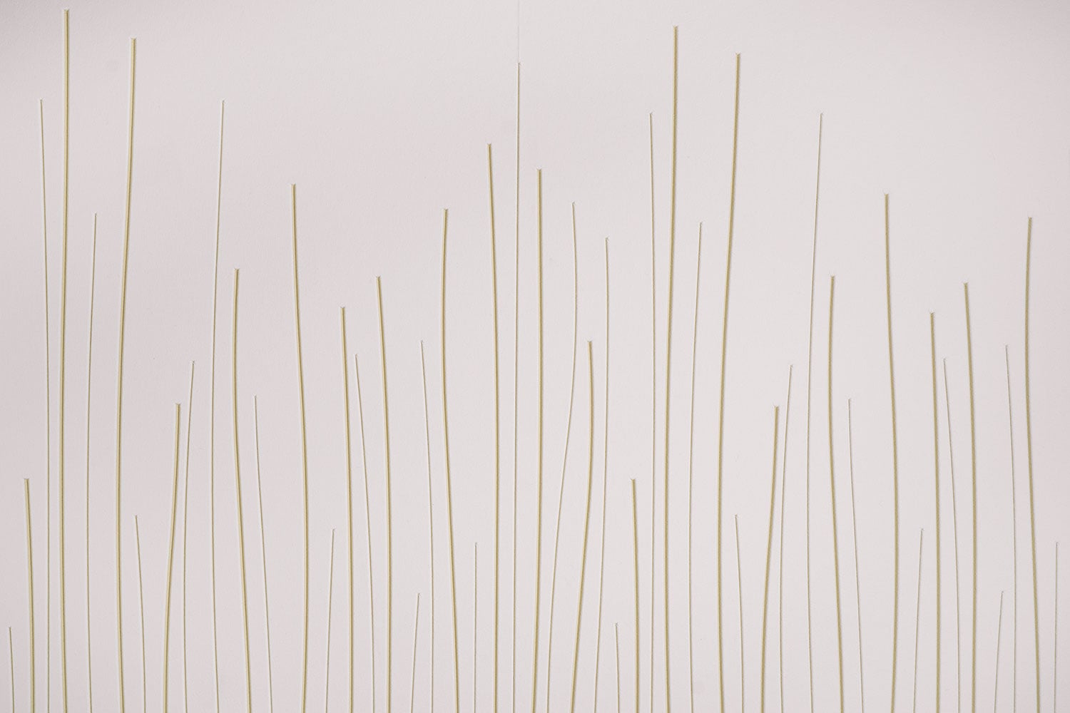Reeds - Shop - FilzFelt